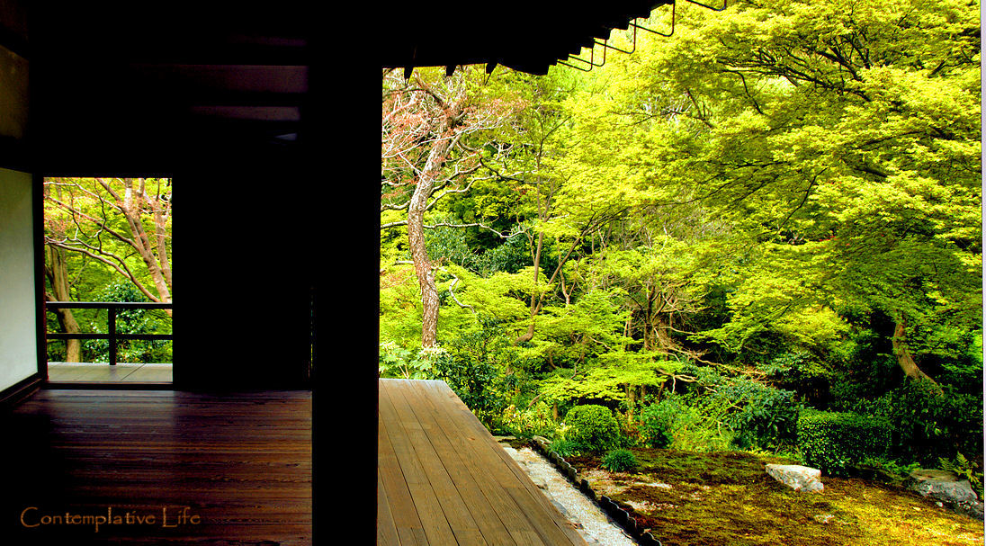 Pop Up Zendo